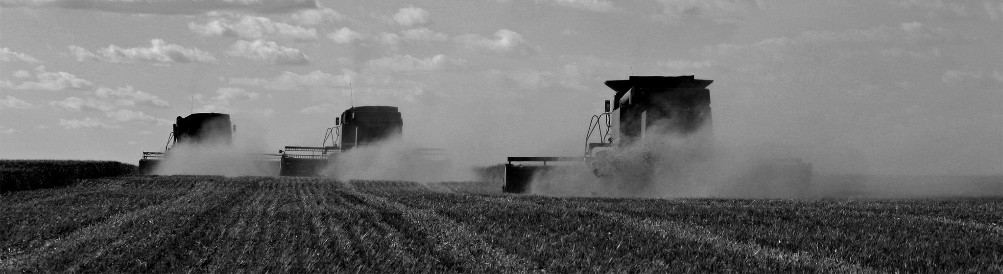 Precision Agronomy | Farm Software | Decisive Farming by TELUS Agriculture