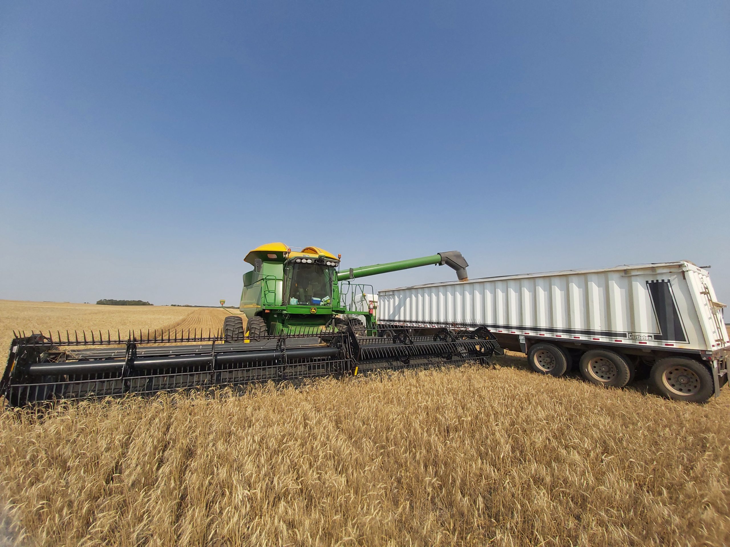 Case Study: Calvin Wood | Decisive Farming by TELUS Agriculture