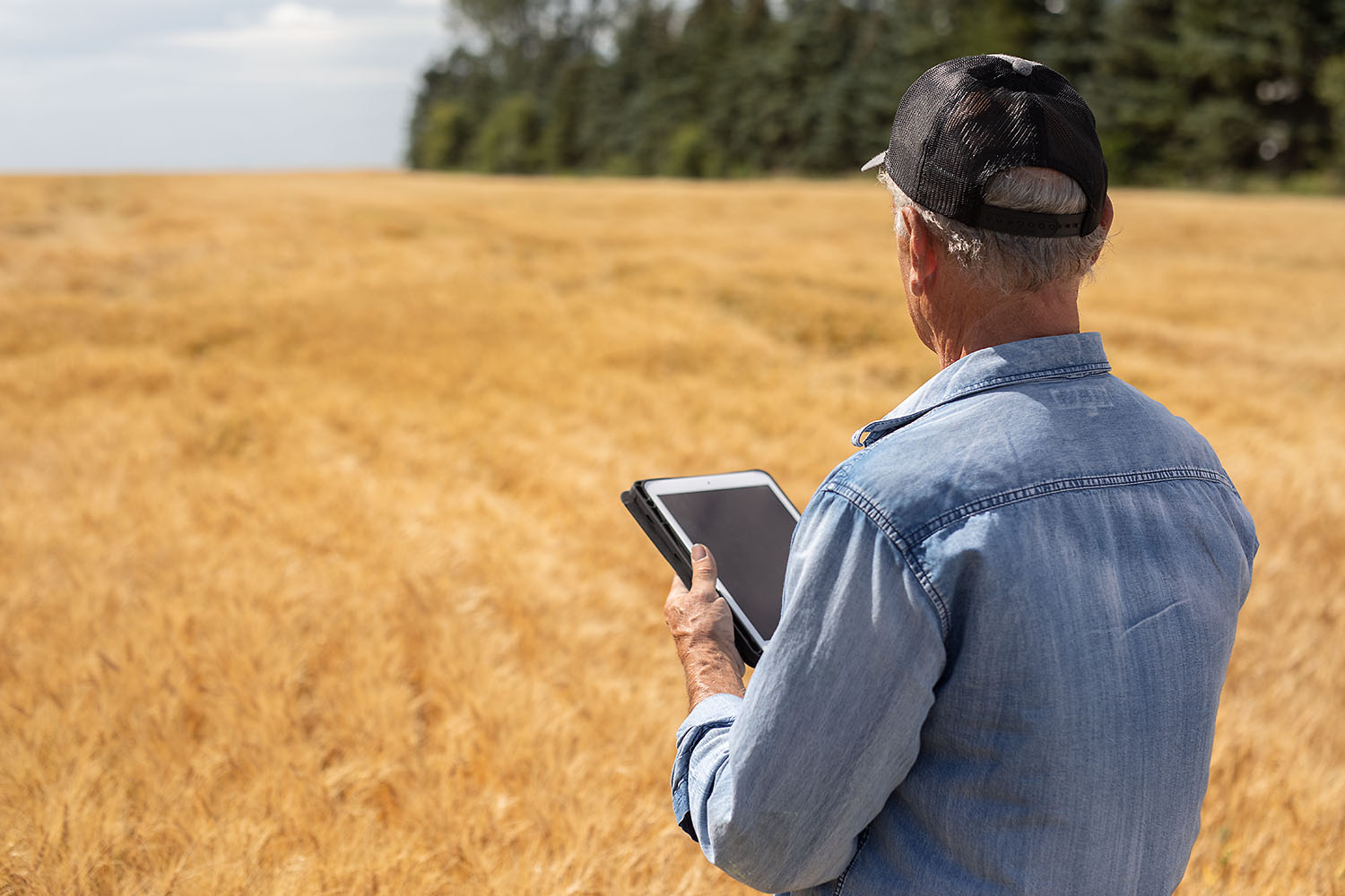 Variable rate | Precision Ag | Decisive Farming by TELUS Agriculture