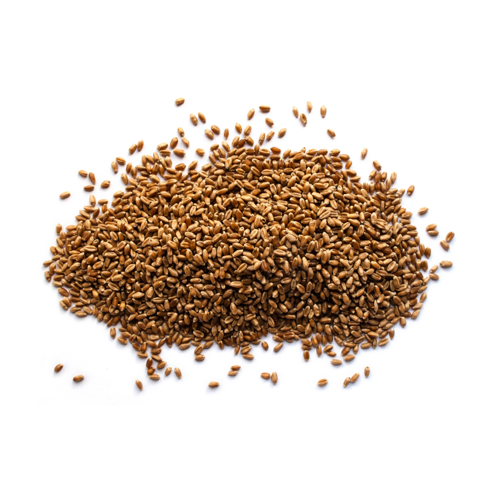 Contact Us | Decisive Farming by TELUS Agriculture