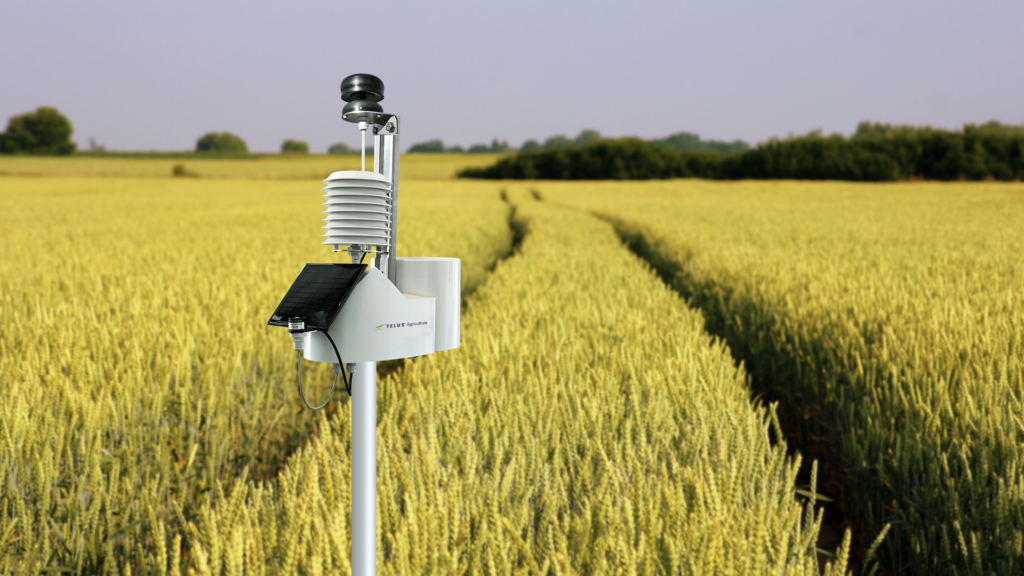 Strengthen your Seeding Strategy