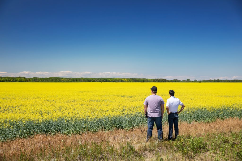 Tips for a successful crop scouting