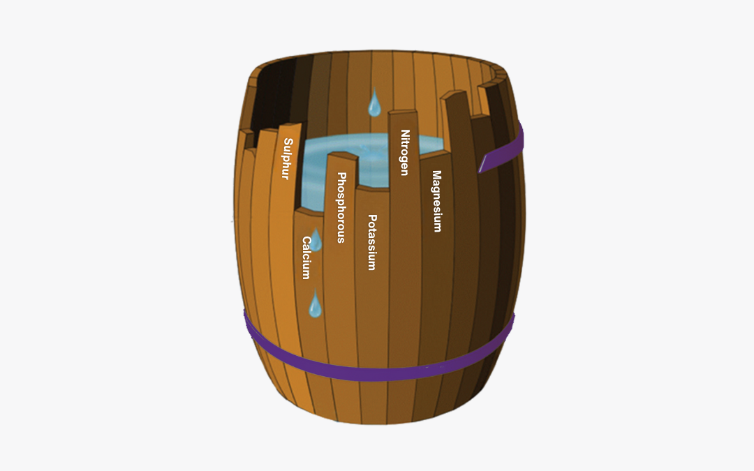 Law of Minimum to optimize your fertilizer strategy